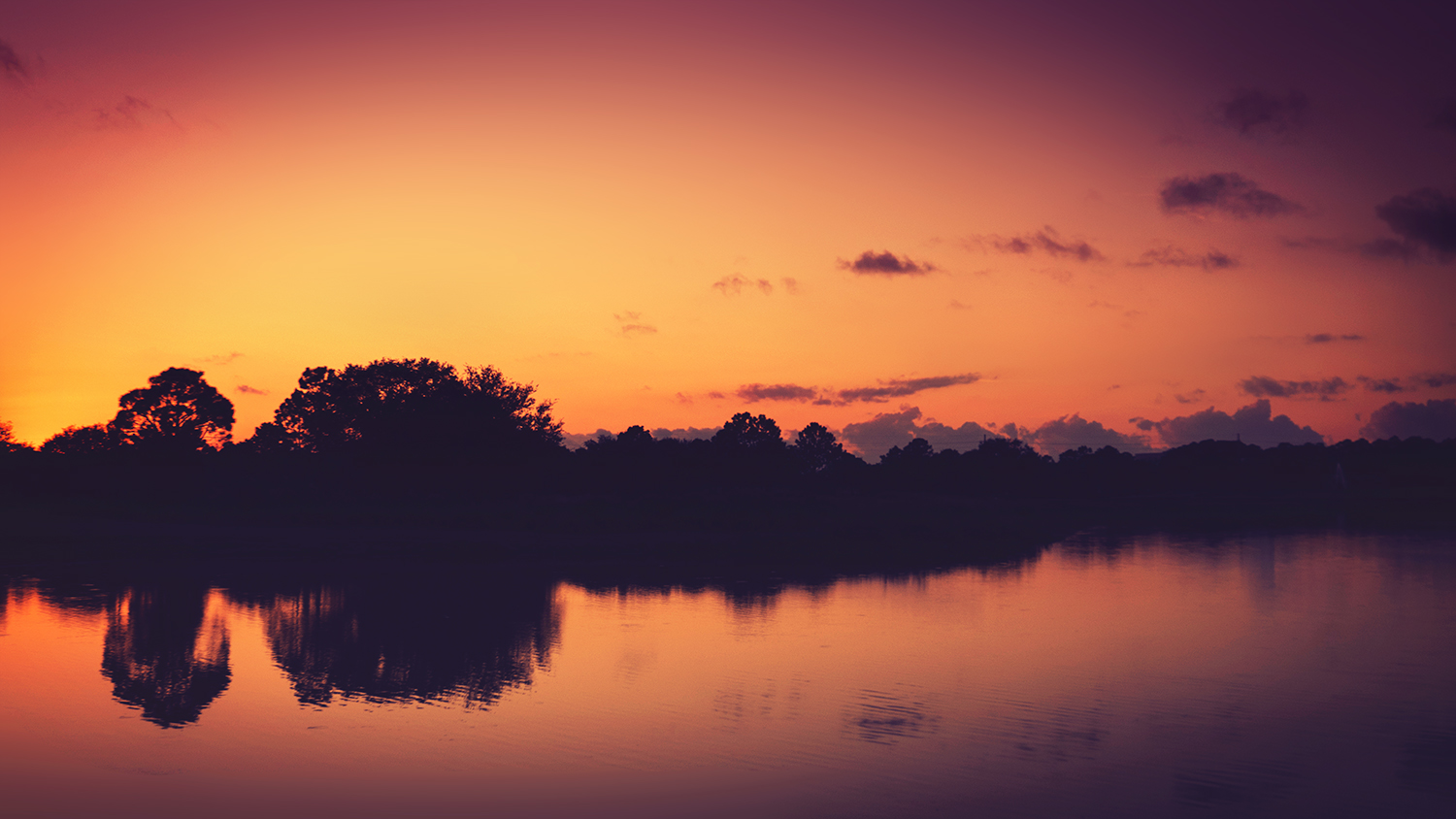 Deepest Nature - Solefield